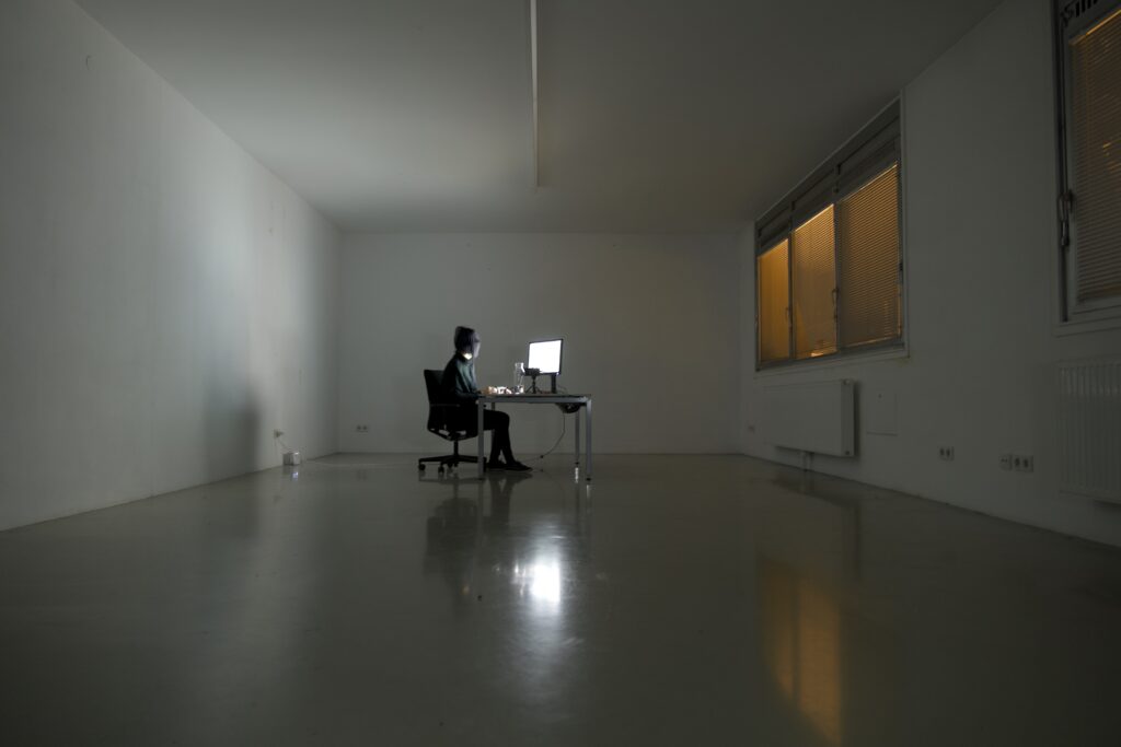 THE ARTIST IS POSSIBLY PRESENT (2020) – Amina Handke